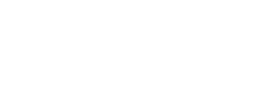 New Style Logistics LLC – We Reach Your Goods Safely